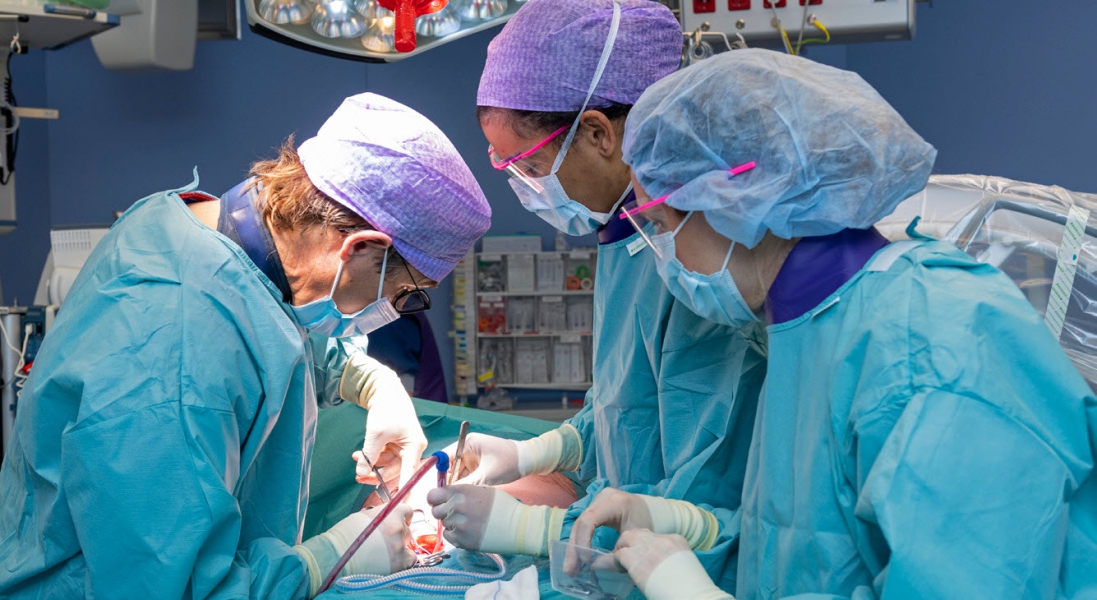 Vernauwde halsslagader - Slingeland Ziekenhuis